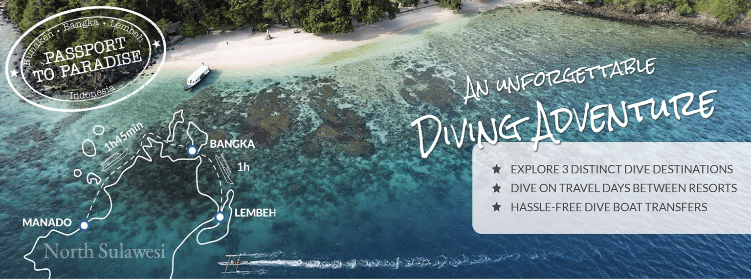 Symbiosis: Marine Matchmaking in North Sulawesi