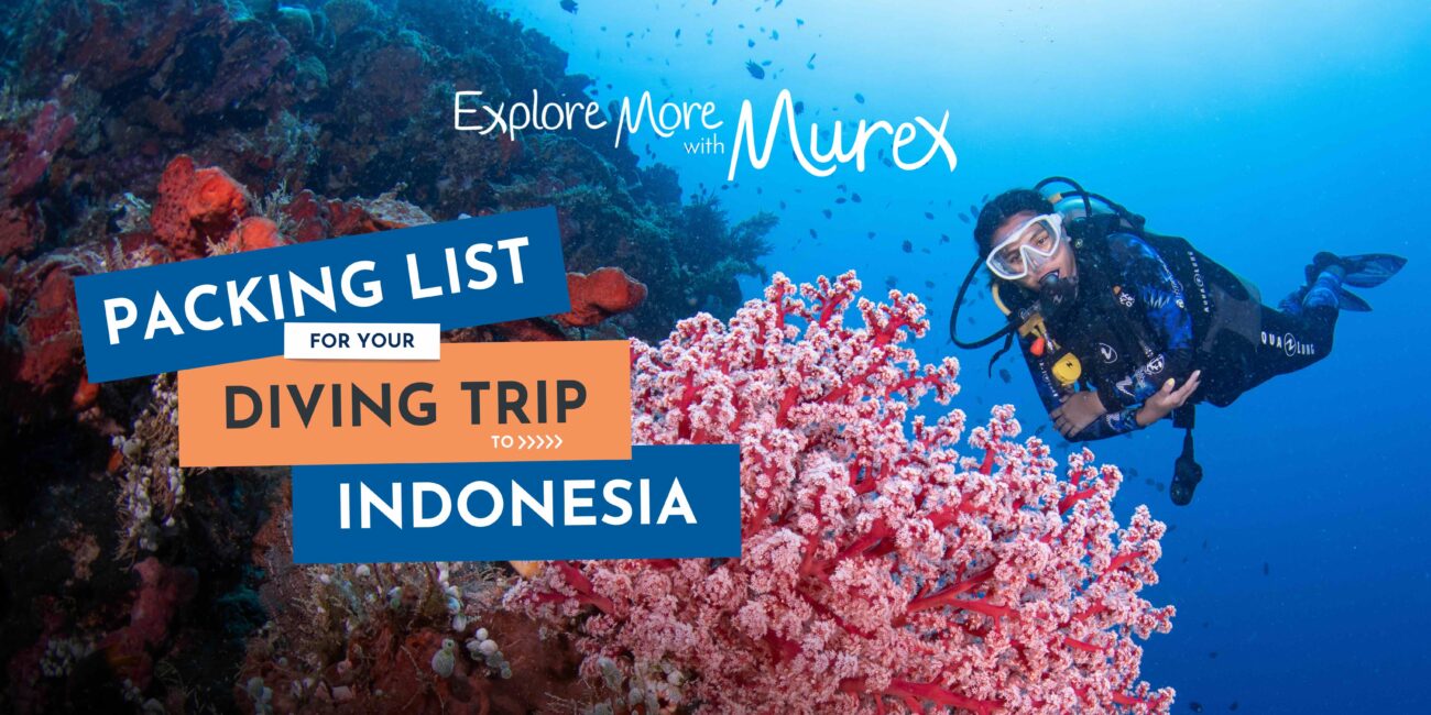 Packing List for Your Diving Trip to Indonesia - Murex Resorts